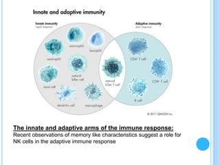 Natural killer cells | PPTX