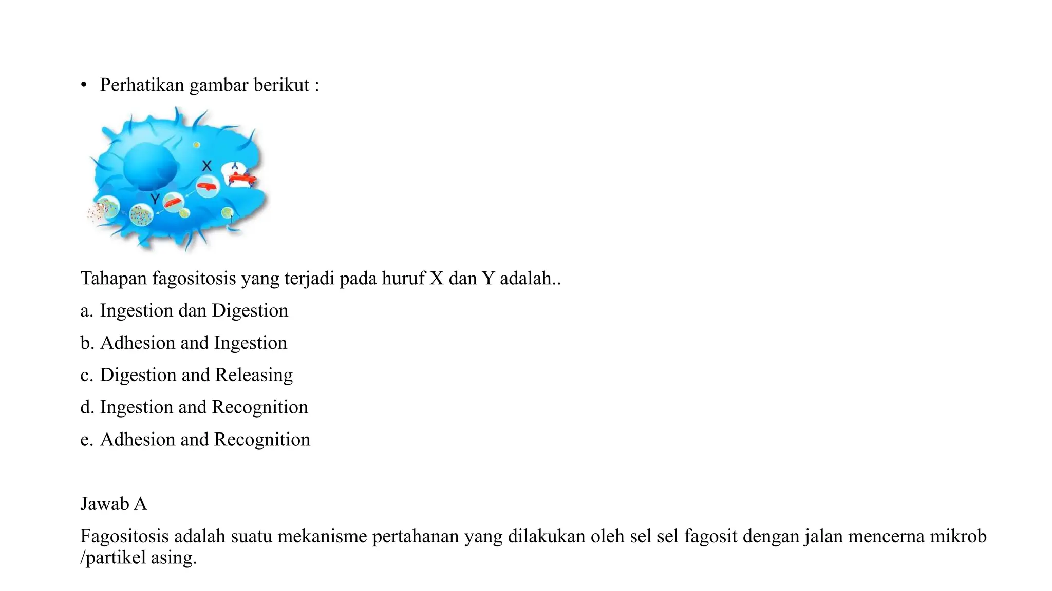 immunology basic introduction biomedical.pptx