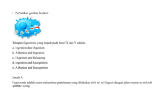 immunology basic introduction biomedical.pptx