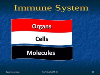 Ch. 11, Immunology Basics - Microbiology | PPT