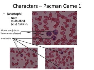 Immunology characters | PPT