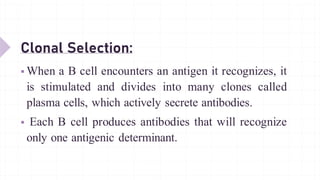 clonal selection theory.PPTX
