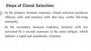 clonal selection theory.PPTX