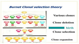clonal selection theory.PPTX