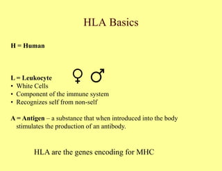 HLA BASICS AND ROLE IN TRANSPLANT IMMUNOLOGY | PPTX