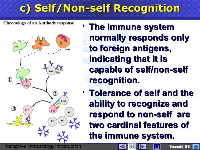 Introduction to Immunology