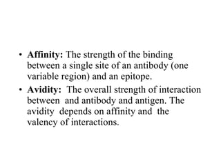 Immunology iii immunoglobulins | PPT