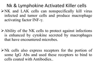 Immunology innate immunity | PPT