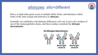 Immunology(Iso,Allo,Idiotypes).pptx
