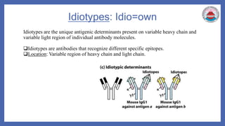 Immunology(Iso,Allo,Idiotypes).pptx