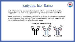 Immunology(Iso,Allo,Idiotypes).pptx