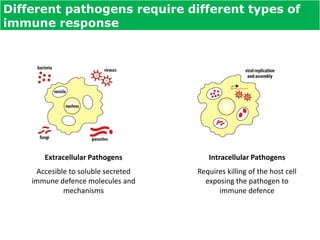 IMMUNOLOGY | PDF