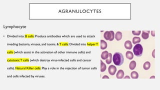 Immunology Laboratory Techniques and Diagnostic Applications” | PDF