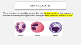 Immunology Laboratory Techniques and Diagnostic Applications” | PDF