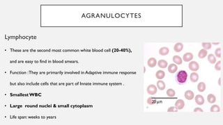 Immunology Laboratory Techniques and Diagnostic Applications” | PDF