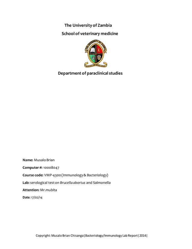 Immunology lab report | DOCX | Infectious Diseases | Diseases and ...