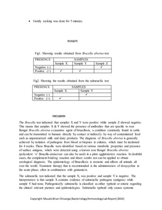 Immunology lab report | DOCX
