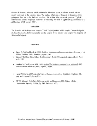 Immunology lab report | DOCX