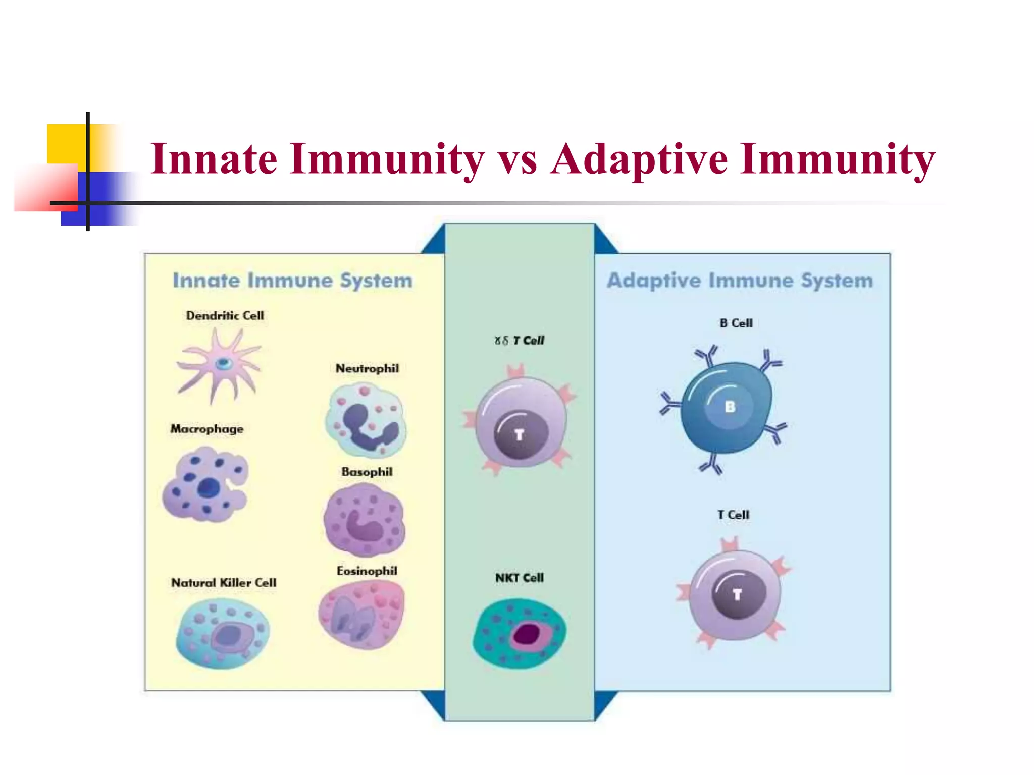 Immunology lecture 1.ppt
