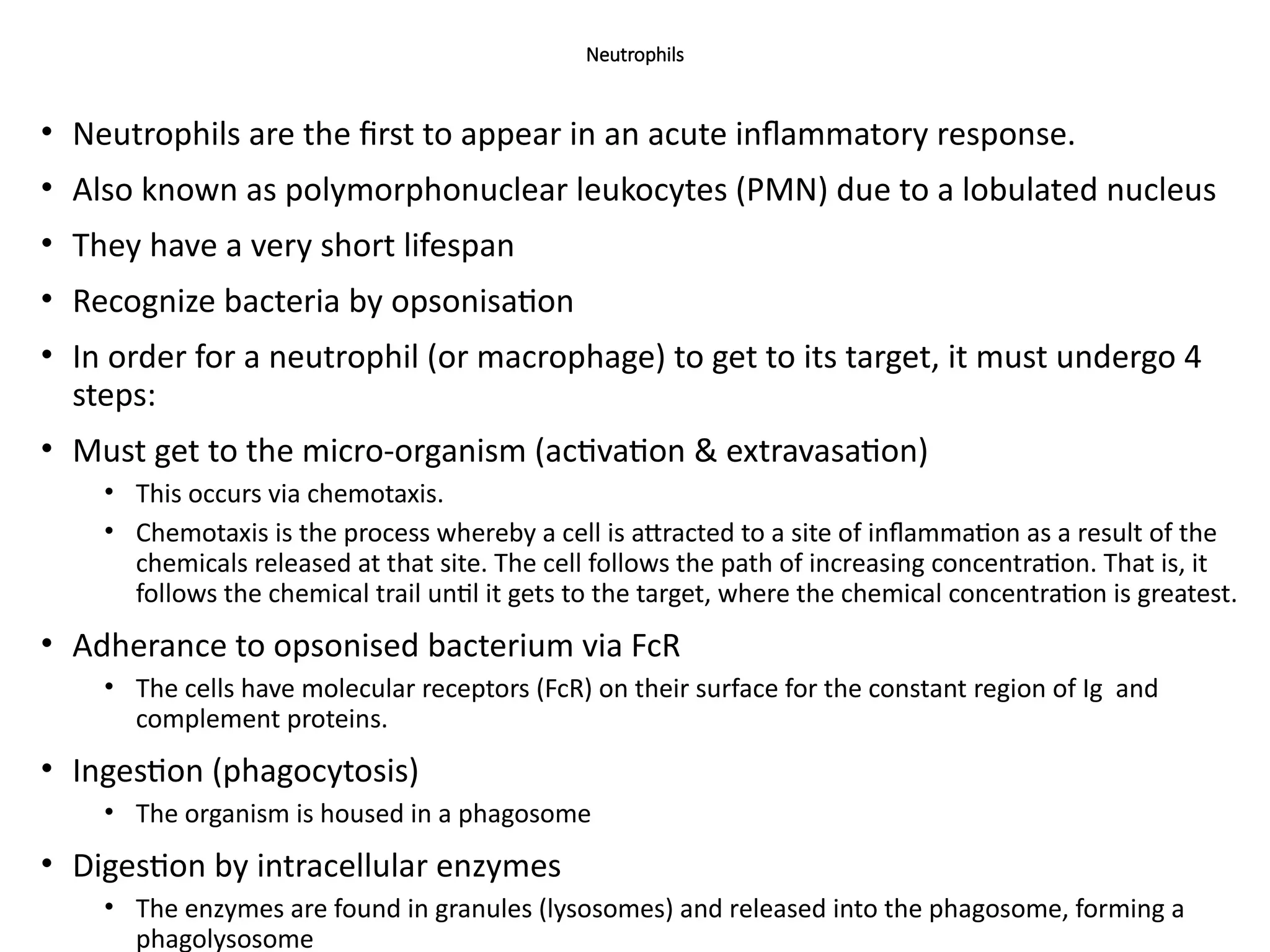 Basic Immunology lecture for beginners .pptx