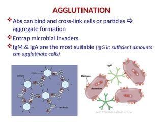 Immunology_Lecture6Antigen-Antibody_Reactions.ppt