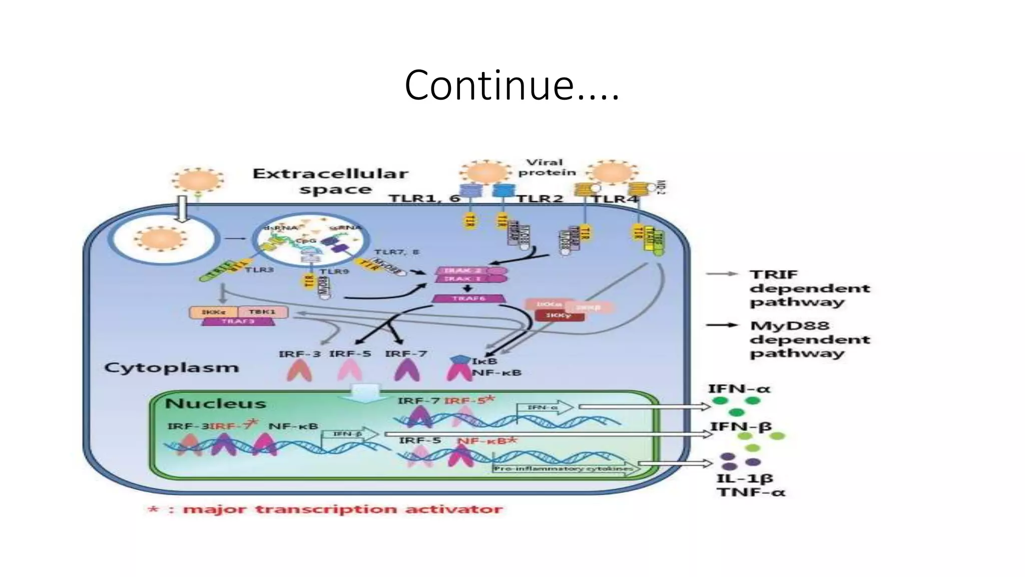 Immunology lectures 6.pptx