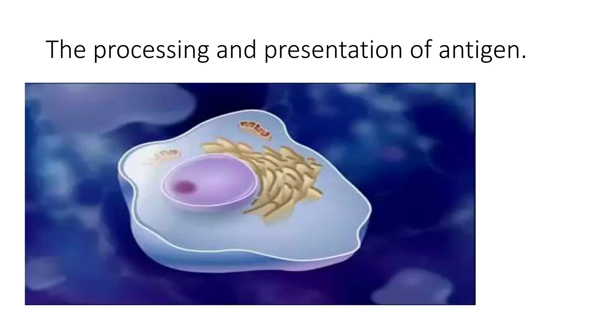 Immunology lectures 6.pptx