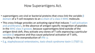 Immunology lectures 6.pptx