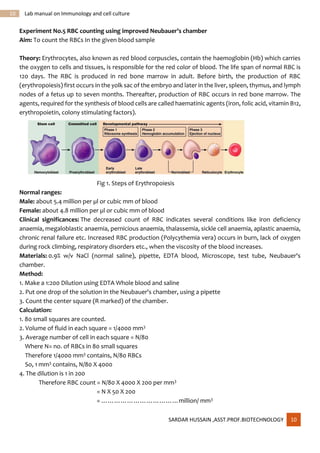 Immunology and cell culture techniques | PDF