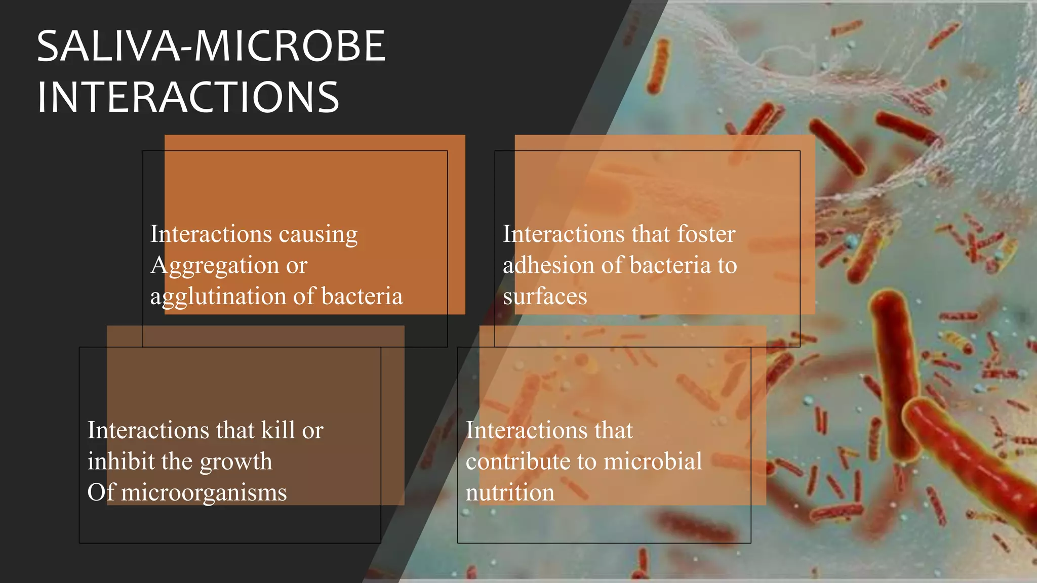 Immunology of dental caries | PPTX