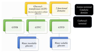 Immunology of dental caries | PPTX