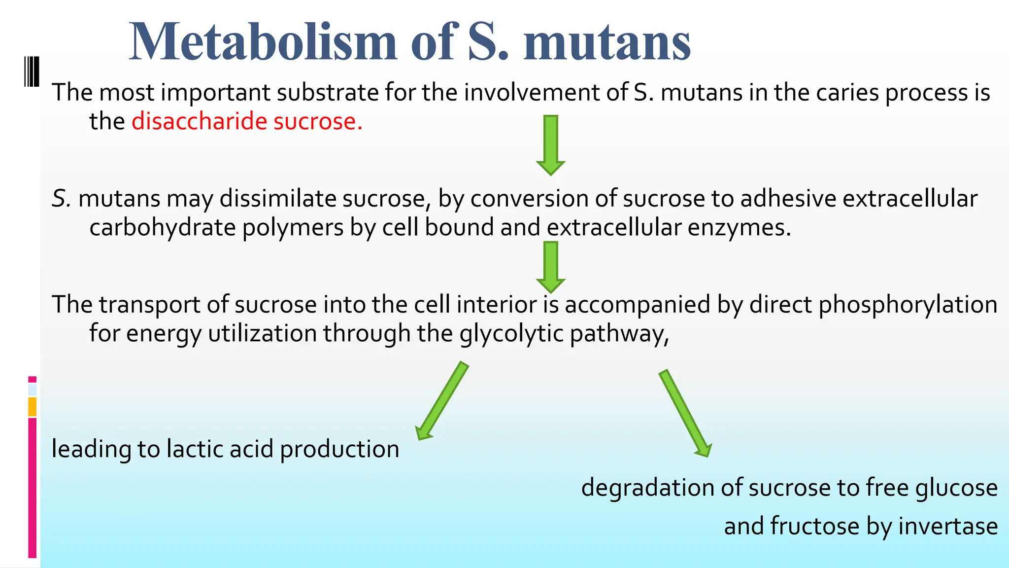 immunology of dental caries.pptx