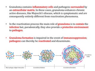 Immunology of Fungal Infections.pptx