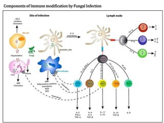 Immunology of Fungal Infections.pptx