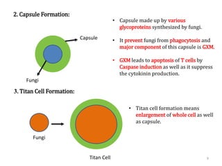 Immunology of Fungal Infections.pptx