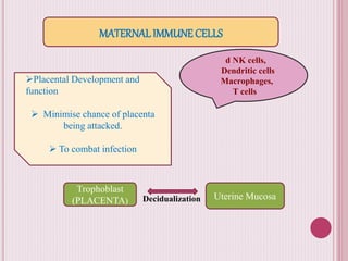 Immunology of maternal fetal interphase | PPSX