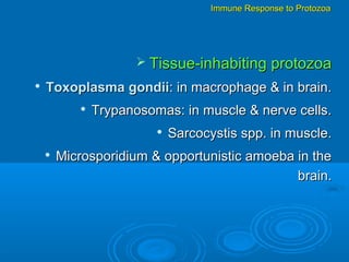 Immunology of parasitic diseases | PPT