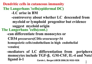 Immunology of skin diseases dr.ihsan alsaimary | PPTX