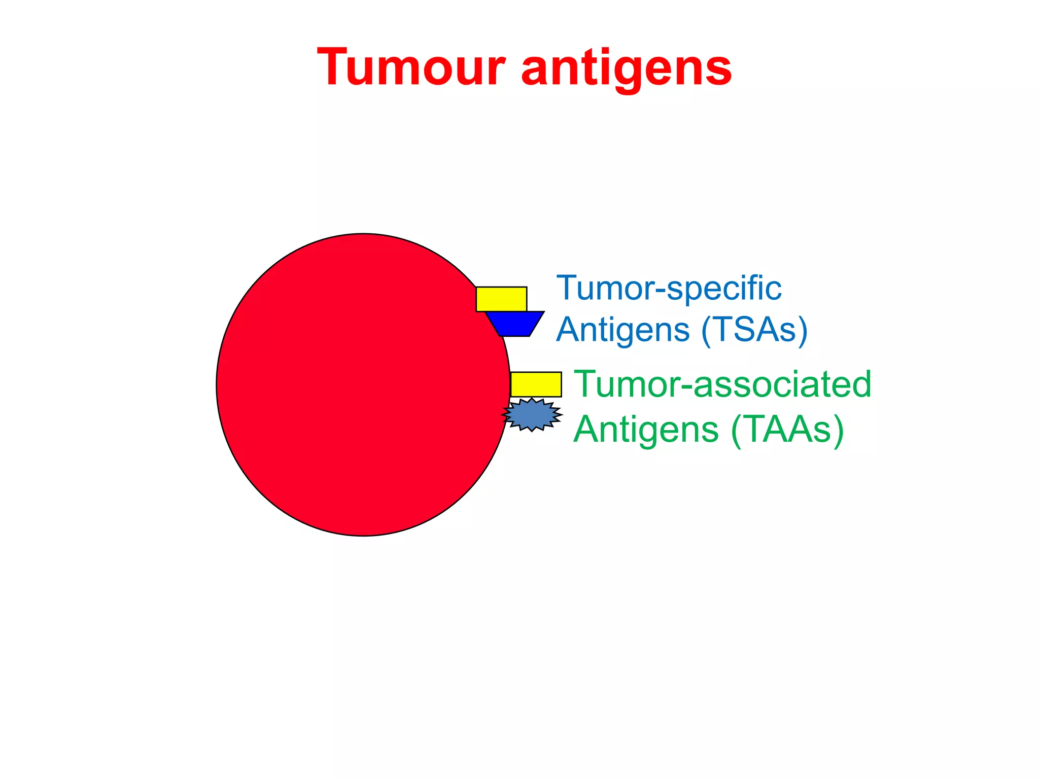 Immunology of tanslanatation and malignancy | PPTX