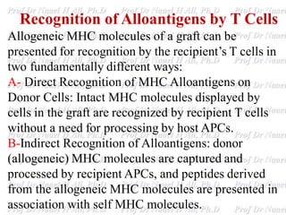 Immunology of Transplantation 23.pdf