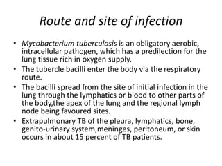 Immunology of tuberculosis | PPTX