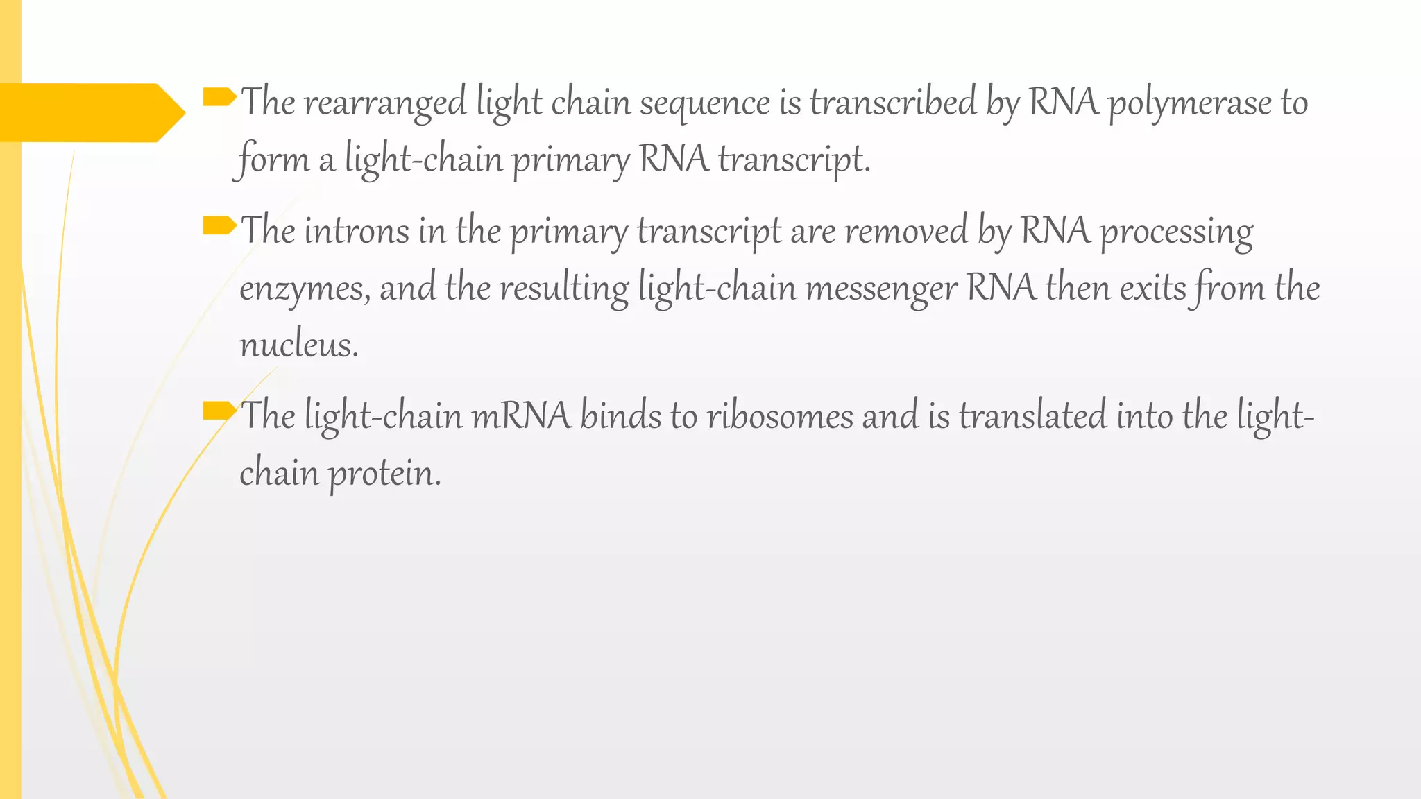 ANTIBODY STRUCTURE AD GENE REARRANGEMENTS | PPTX