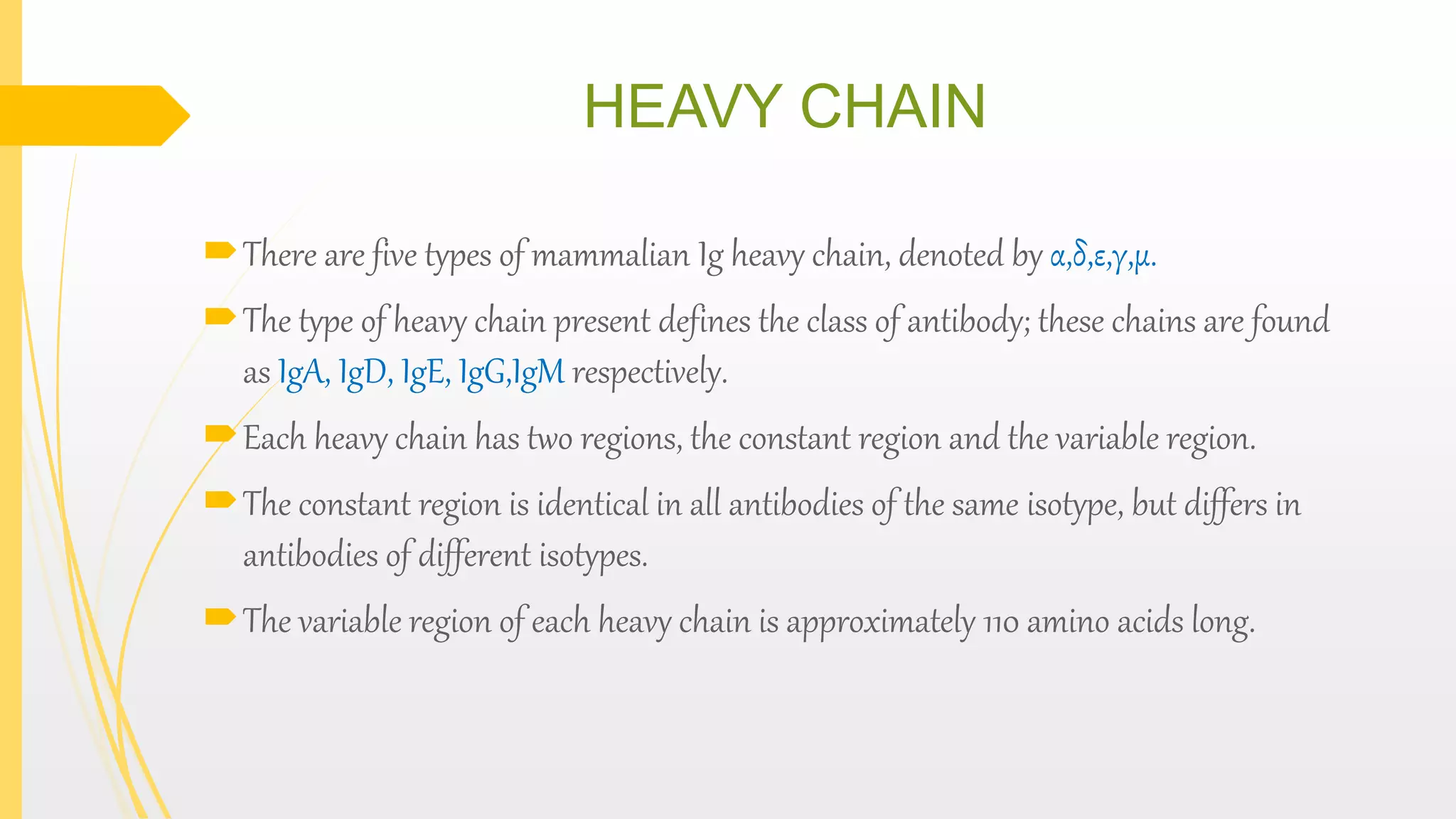 ANTIBODY STRUCTURE AD GENE REARRANGEMENTS | PPTX