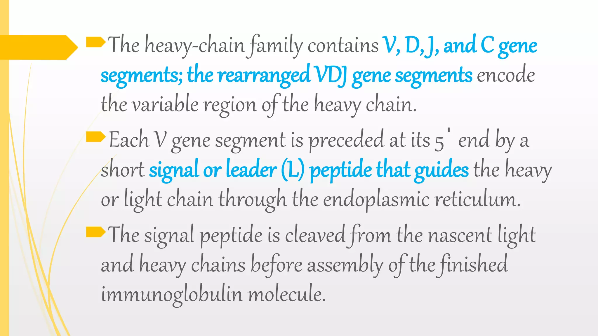 ANTIBODY STRUCTURE AD GENE REARRANGEMENTS | PPTX
