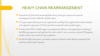 ANTIBODY STRUCTURE AD GENE REARRANGEMENTS | PPTX