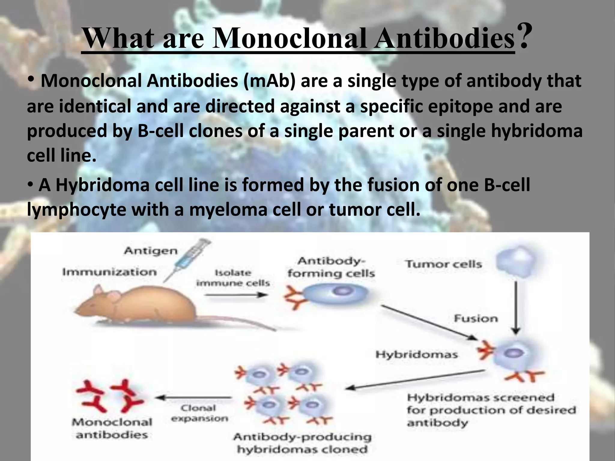 Monoclonal Antibody | PPTX