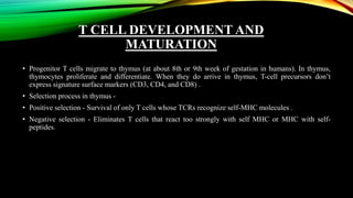 Activation of T and B Cells | PPTX