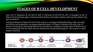 Activation of T and B Cells | PPTX