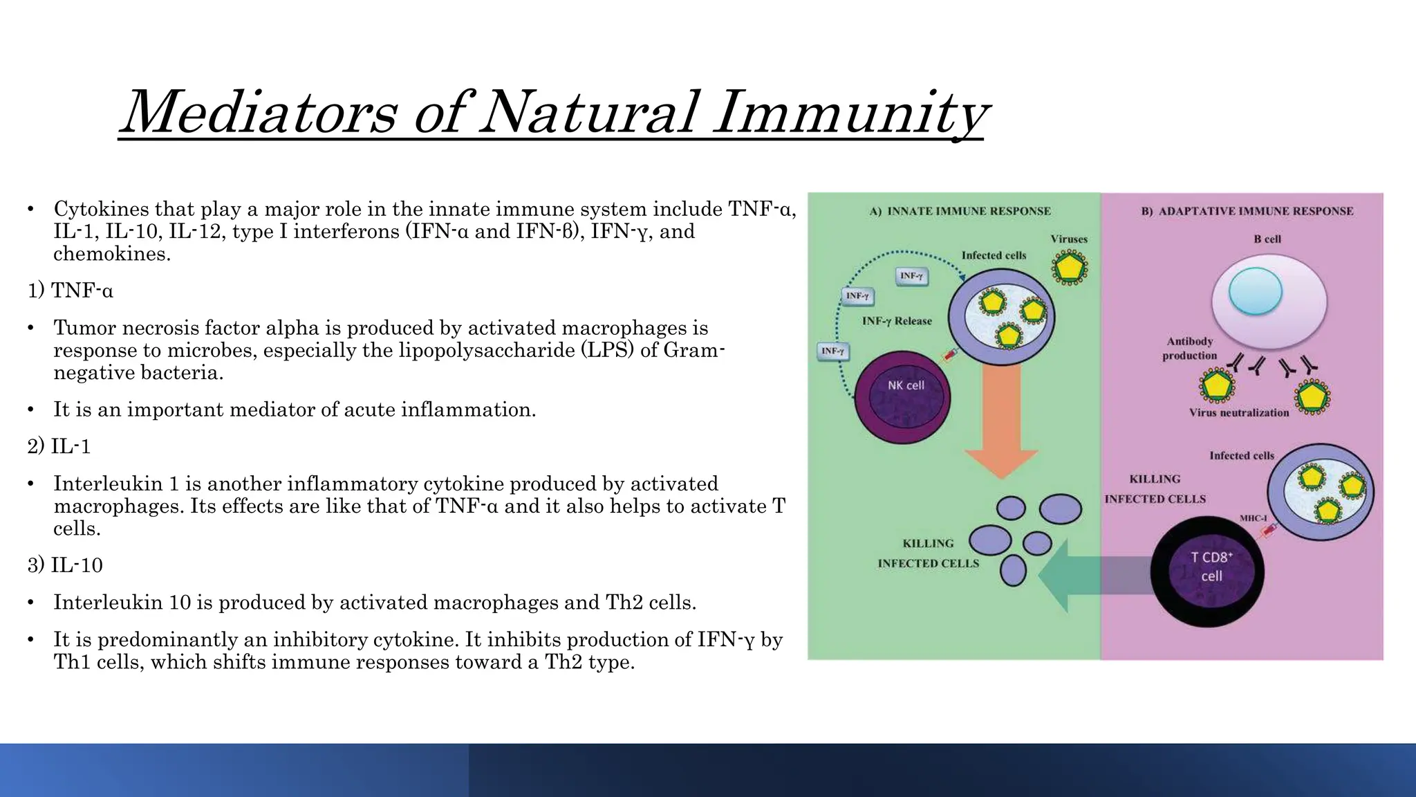 Cytokines and their role in immune regulation.pptx