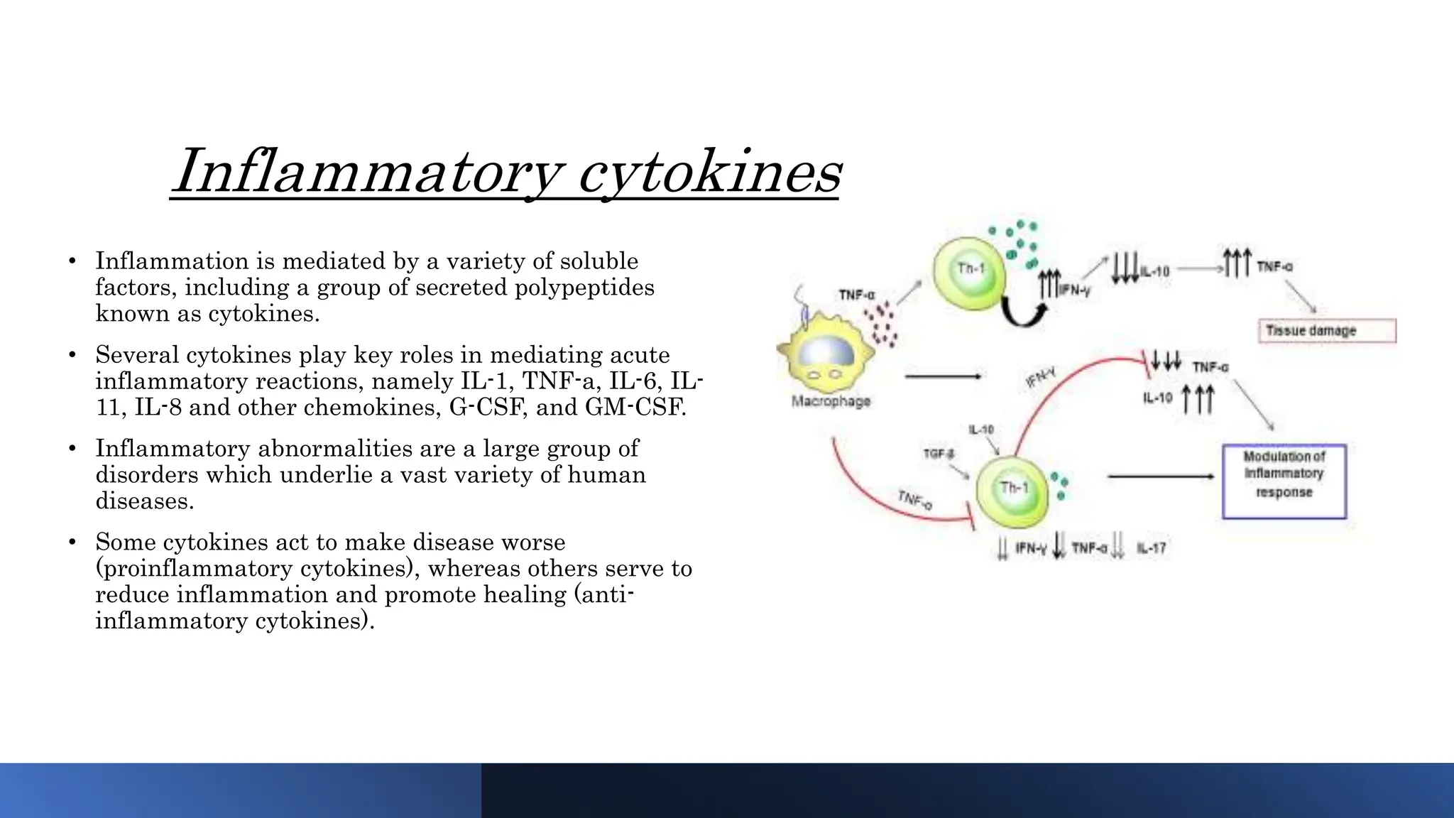 Cytokines and their role in immune regulation.pptx